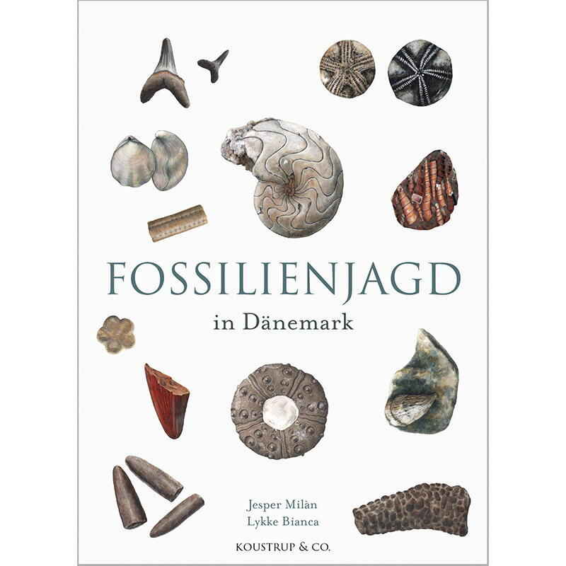 Buch - Fossilienjagd — dansk.shop
